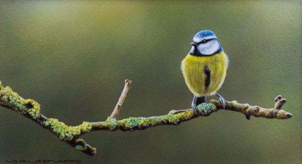 Top 10 Animal Artists | Original Wildlife Paintings | Forest Gallery