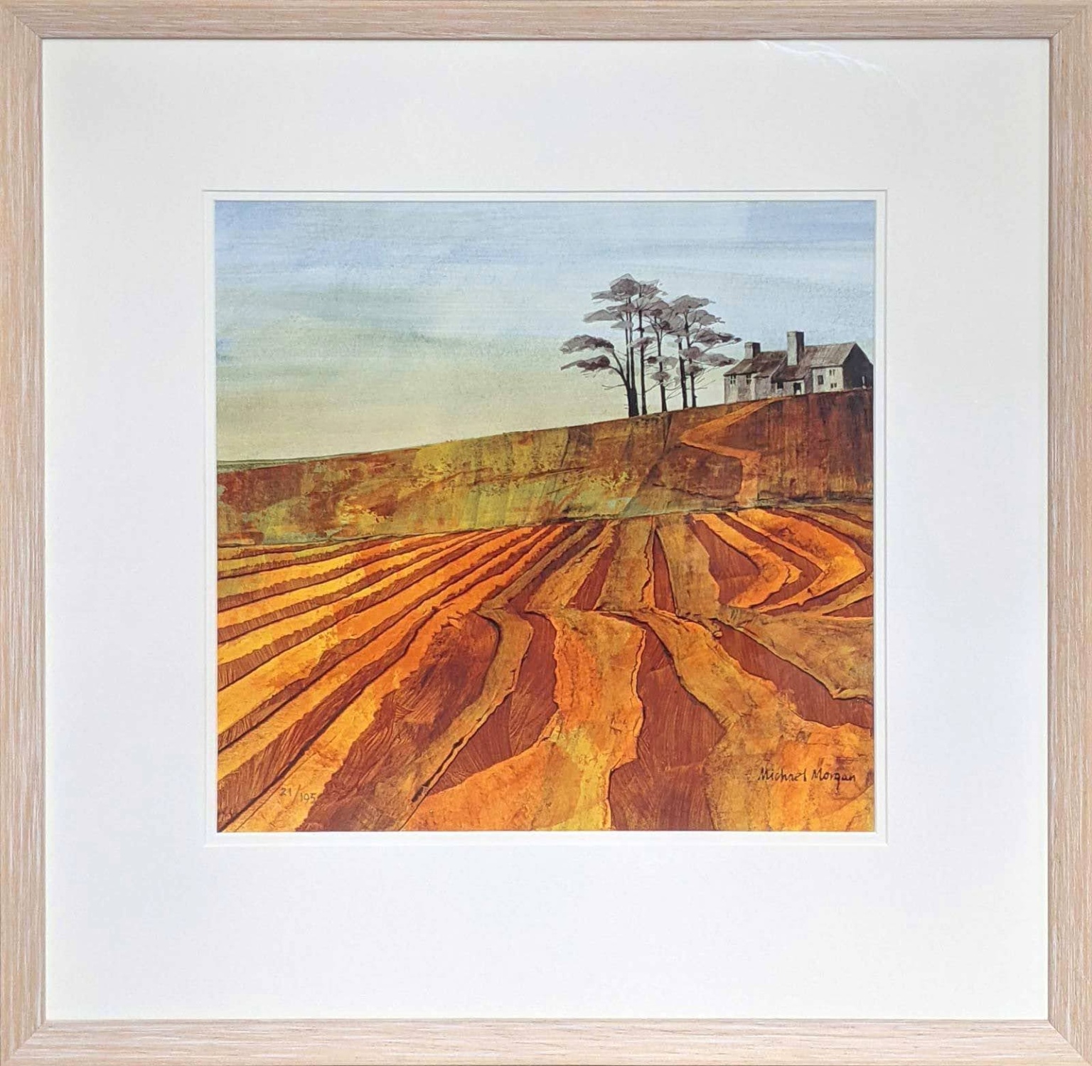 The Copse | Michael Morgan