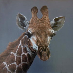 Top 10 Animal Artists | Original Wildlife Paintings | Forest Gallery