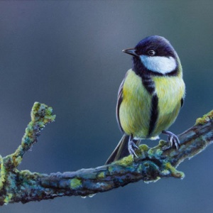 Top 10 Animal Artists | Original Wildlife Paintings | Forest Gallery