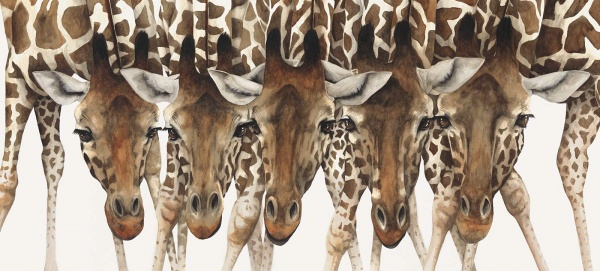 Top 10 Animal Artists | Original Wildlife Paintings | Forest Gallery